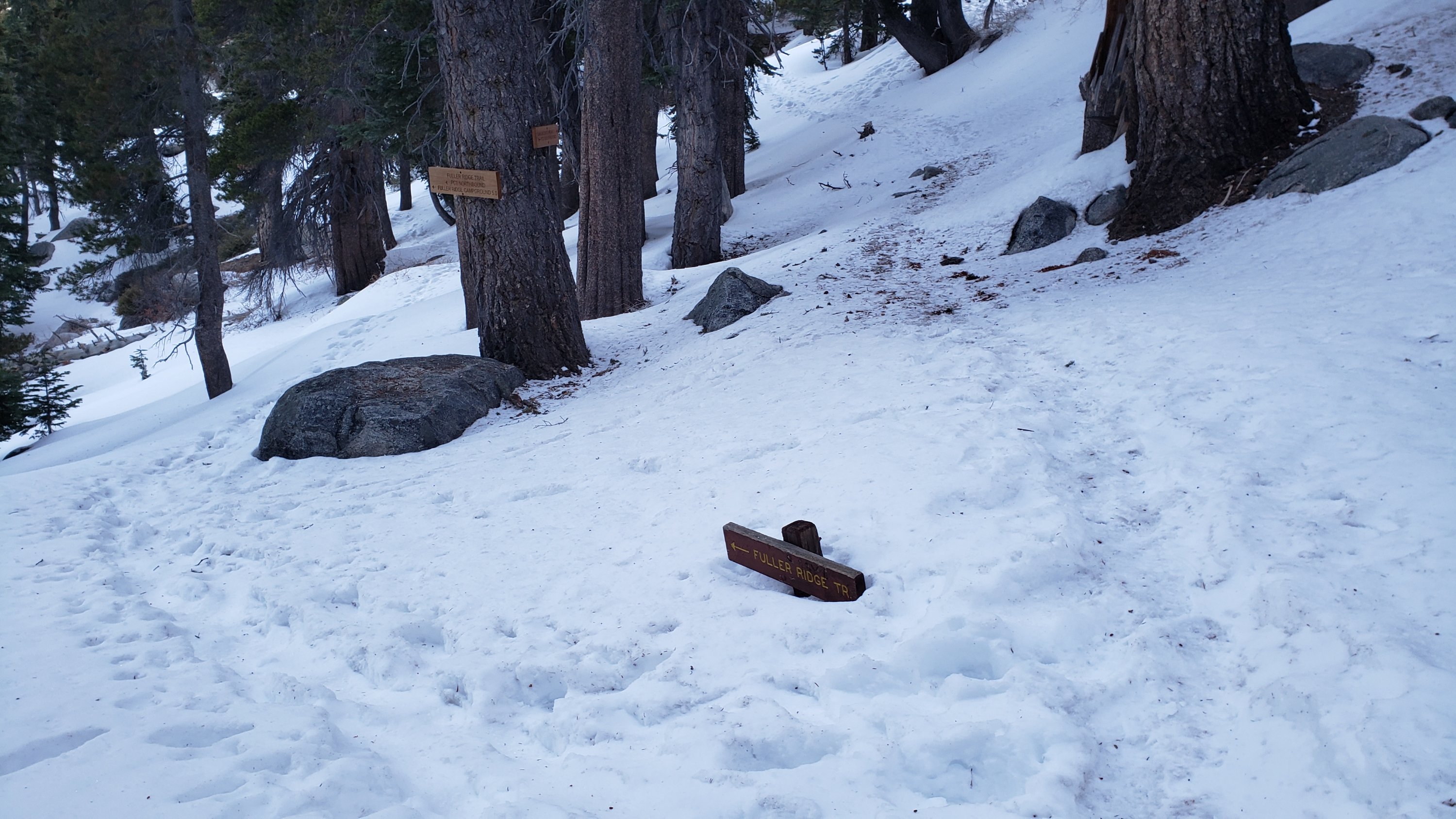 Snow and trail update 23rd March 2022 – San Jacinto Trail Report