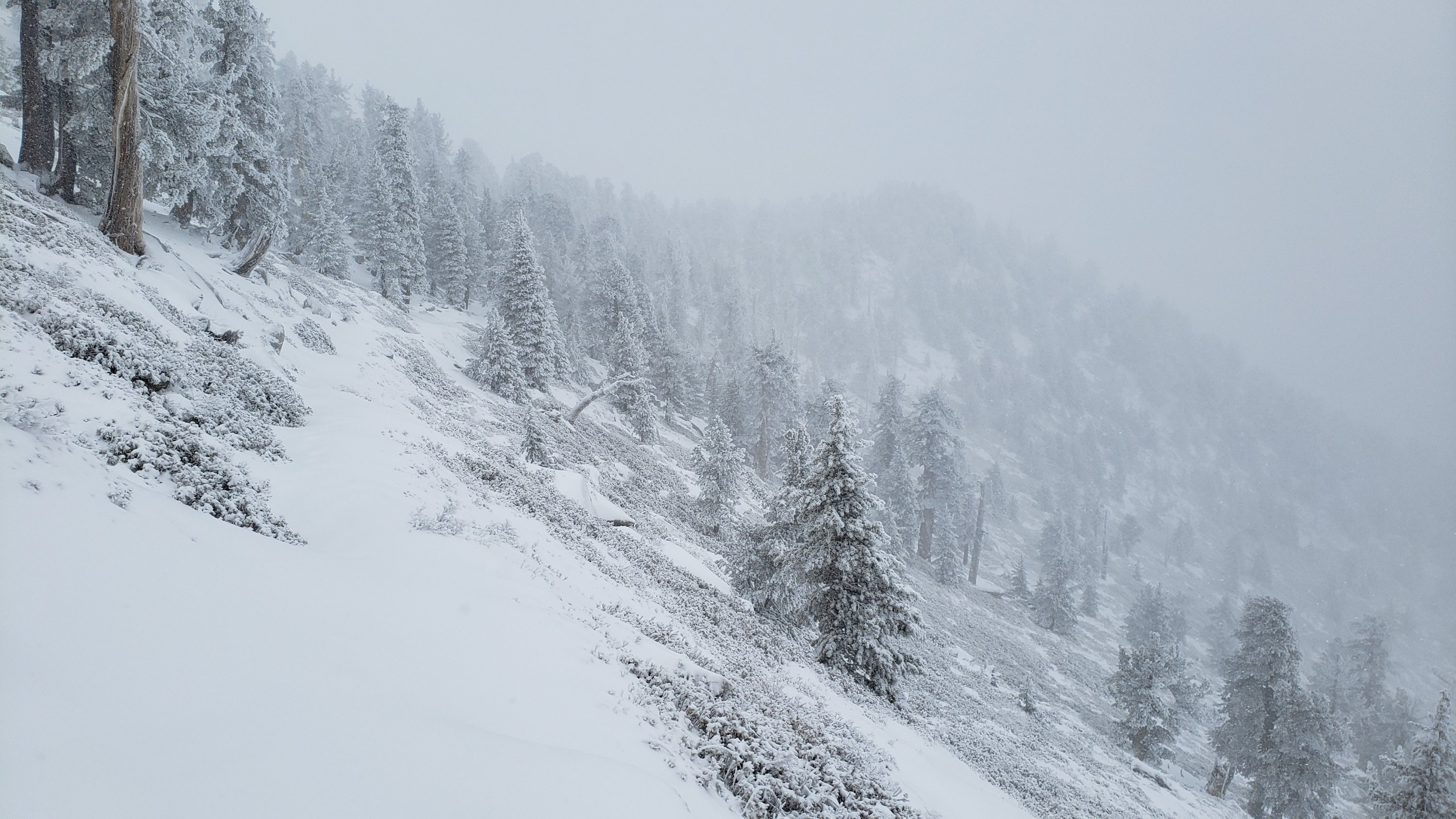 Moderate snow storm 11th-12th December 2022 – San Jacinto Trail Report