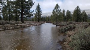 Major snow storm update 24th March 2023 – San Jacinto Trail Report